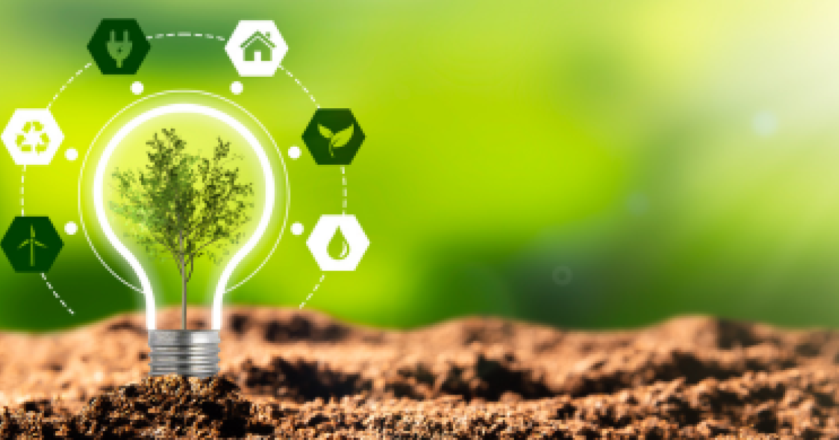 How to Create a More Sustainable Workplace | Sol Minion