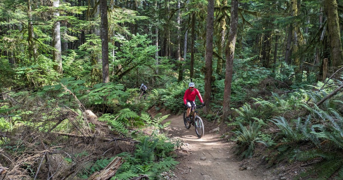 Business Owner MTB Rides + Coffee Events | MTB+Coffee